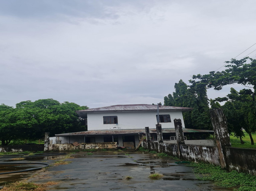 3 Hectare Farm Land for Sale with Fruit bearing trees and Manmade ...