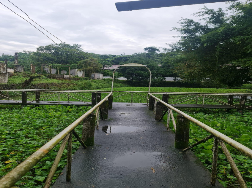 3 Hectare Farm Land for Sale with Fruit bearing trees and Manmade ...