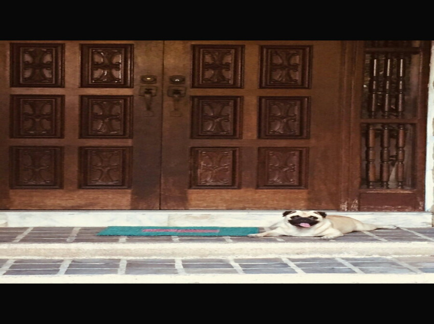 House & Lot for Sale in Xavierville 1 Loyola Heights, Quezon City