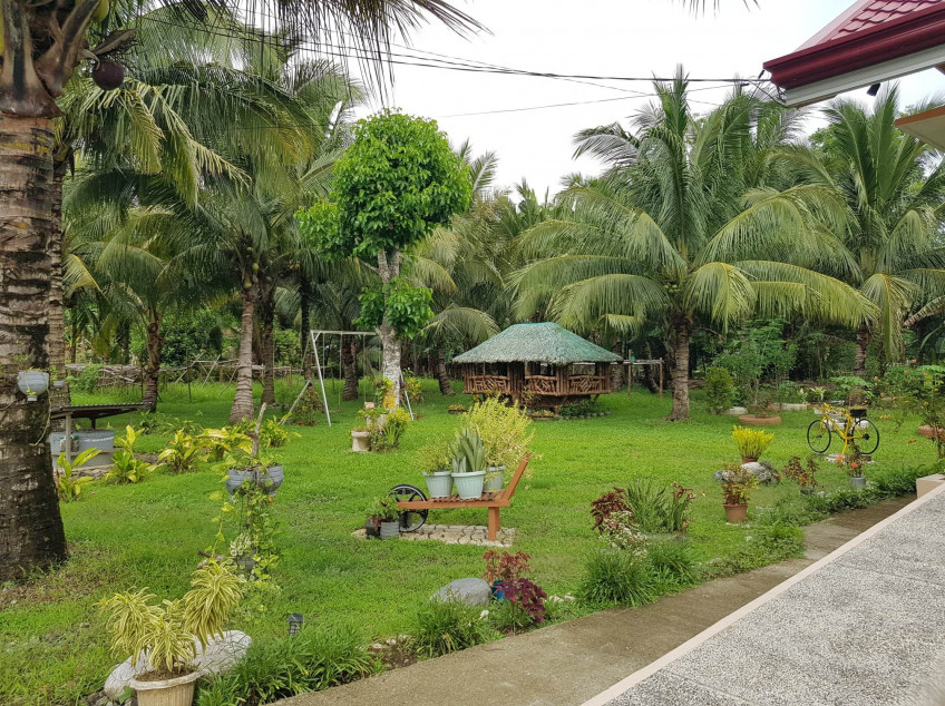 1.16 Hectares Land in Iloilo - Ideal For Inland Resort With Café And ...