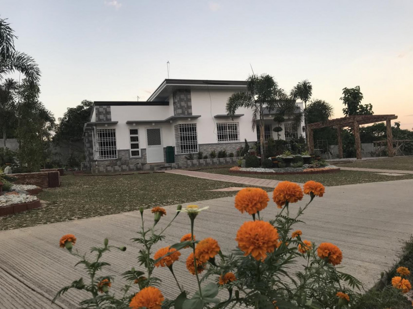 5 Hectare Fully Developed Farm For Sale In Mayantoc Tarlac