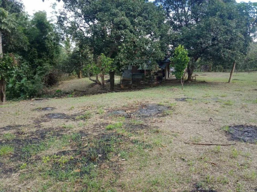 Lot For Sale: Indang Cavite Farm