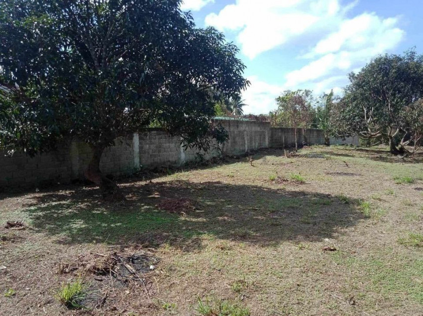 Lot For Sale: Indang Cavite Farm