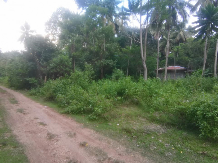 Commercial And Residential Lot In Samal, Davao Del Norte