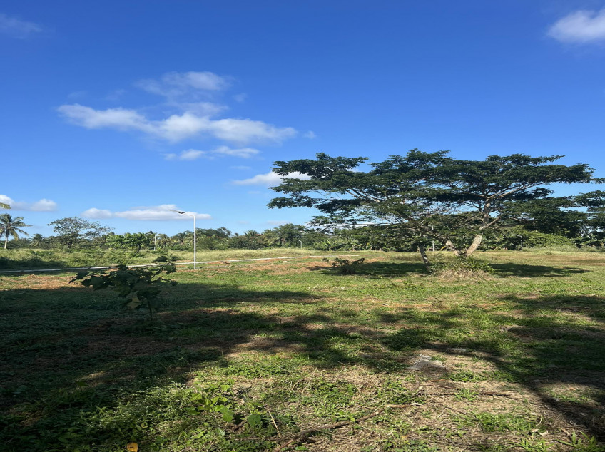 Farm Lot For Sale In Indang, Cavite