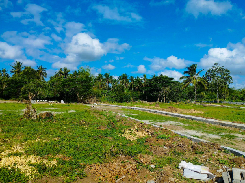 Small Cut Lot For Sale In Indang, Cavite