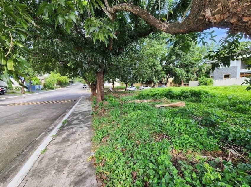Vacant Residential Lot For Sale In Hillsborough Village, Muntinlupa City