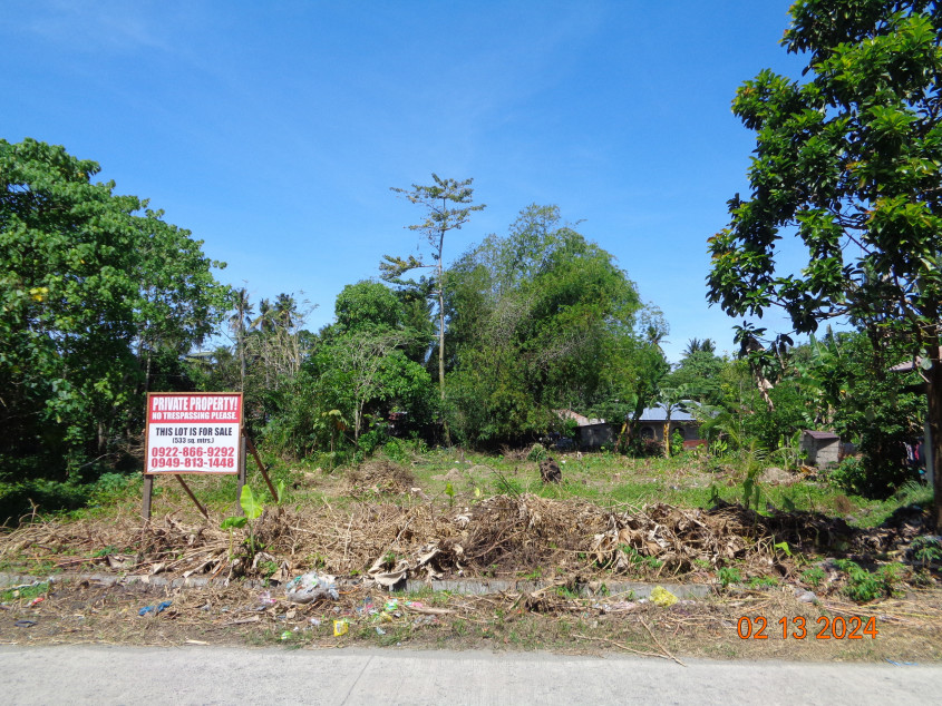 Commercial/Residential Lot For Sale Within Poblacion, Lupon, Davao Oriental