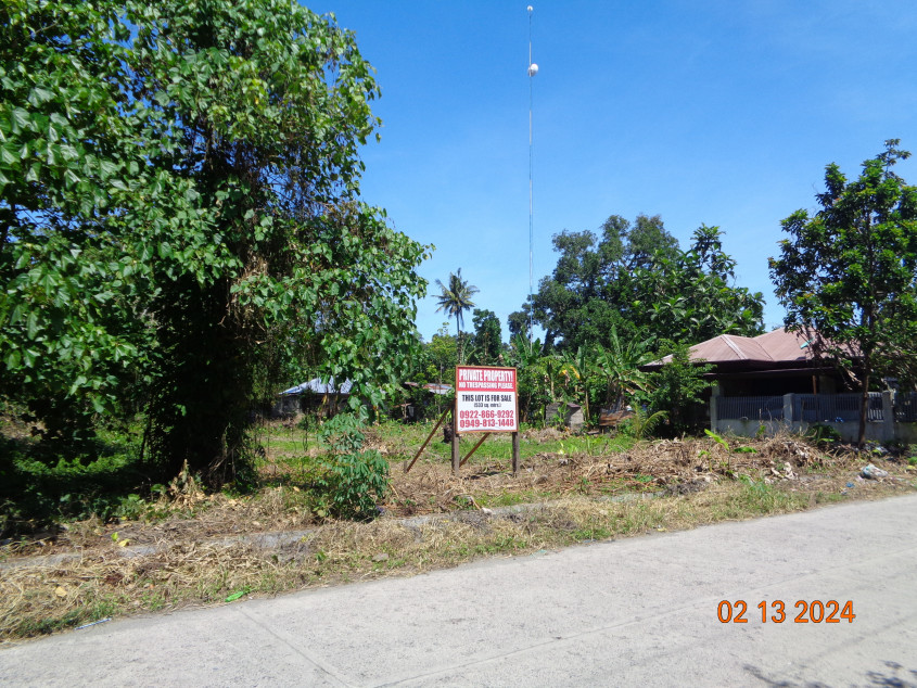 Commercial/Residential Lot For Sale Within Poblacion, Lupon, Davao Oriental