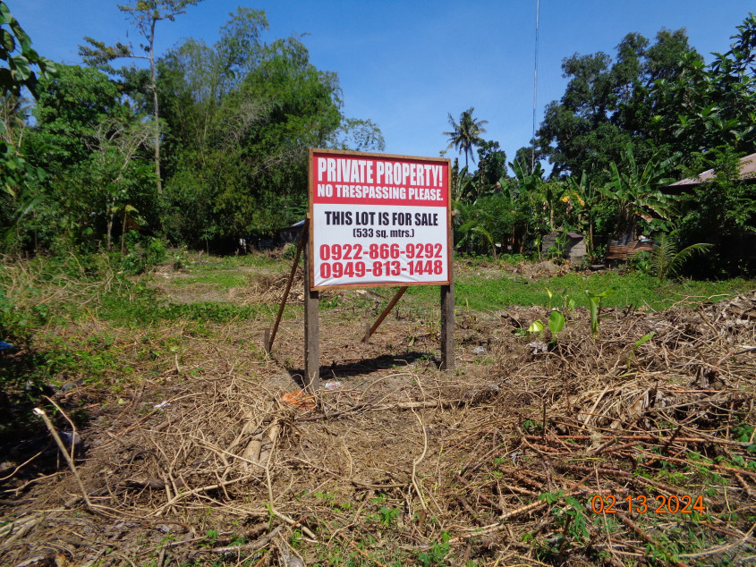 Commercial/Residential Lot For Sale Within Poblacion, Lupon, Davao Oriental