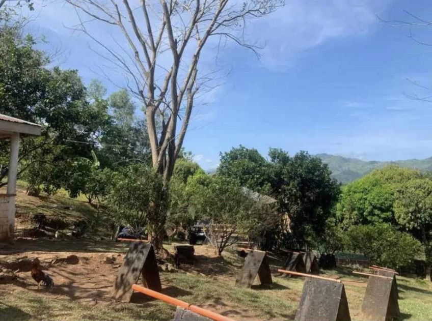 Rush Sale Farm Lot At Sitio Balik Saka, Brgy. Pinugay, Baras, Rizal