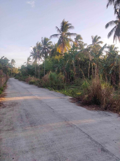 30-Hectare Lot For Sale In Alfonso Taywanak, Cavite