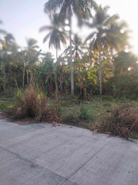 30-Hectare Lot For Sale In Alfonso Taywanak, Cavite