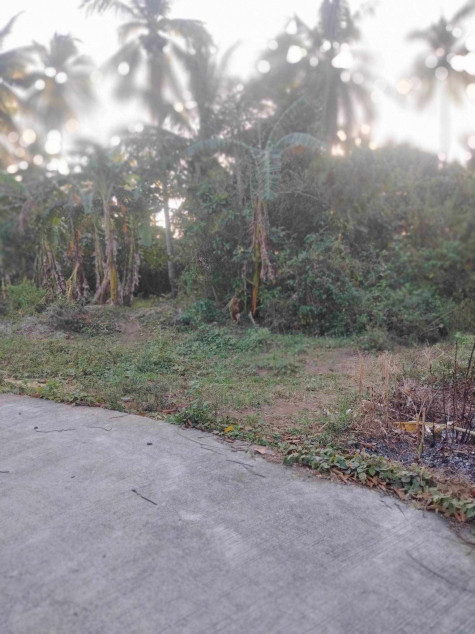 30-Hectare Lot For Sale In Alfonso Taywanak, Cavite
