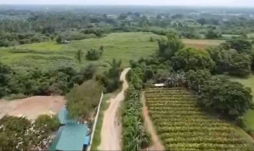 30-Hectare Land In Naic, Cavite