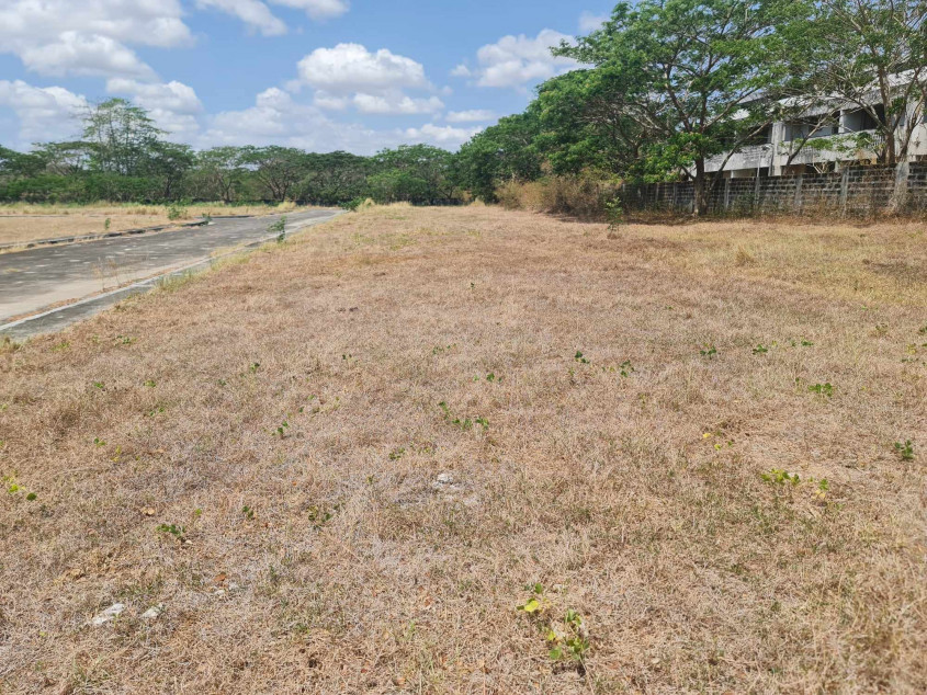 Lot For Sale At The Orchard Golf And Country Club Dasmariñas, Cavite