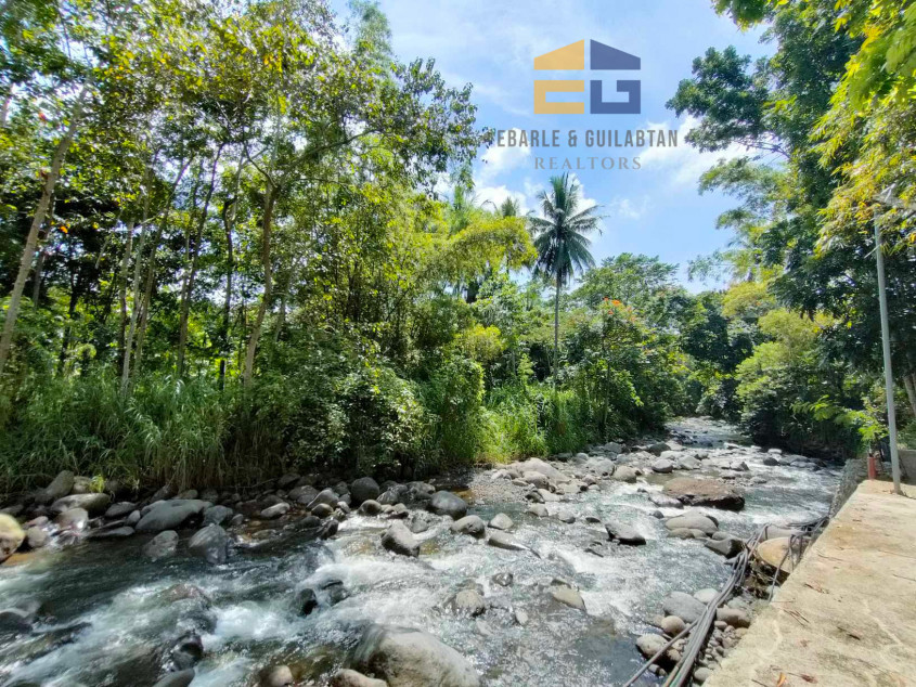 Farm Resort Within The City Of Davao - For Sale