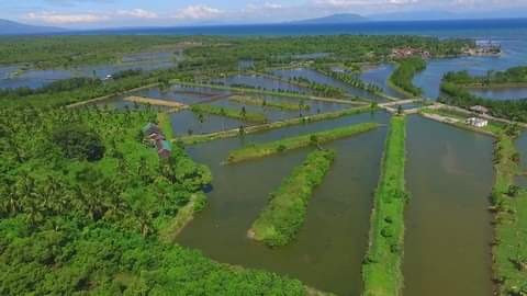 Fish Farm In Oriental Mindoro