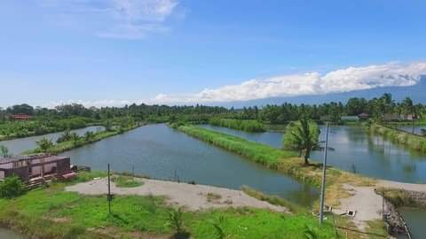 Fish Farm In Oriental Mindoro