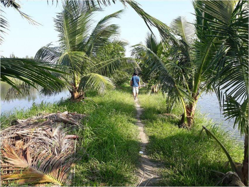 Fish Farm In Oriental Mindoro