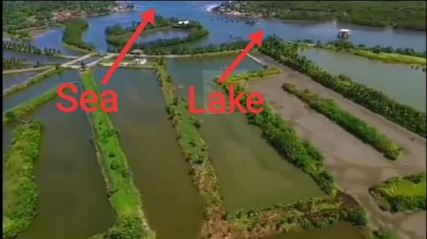 Fish Farm In Oriental Mindoro