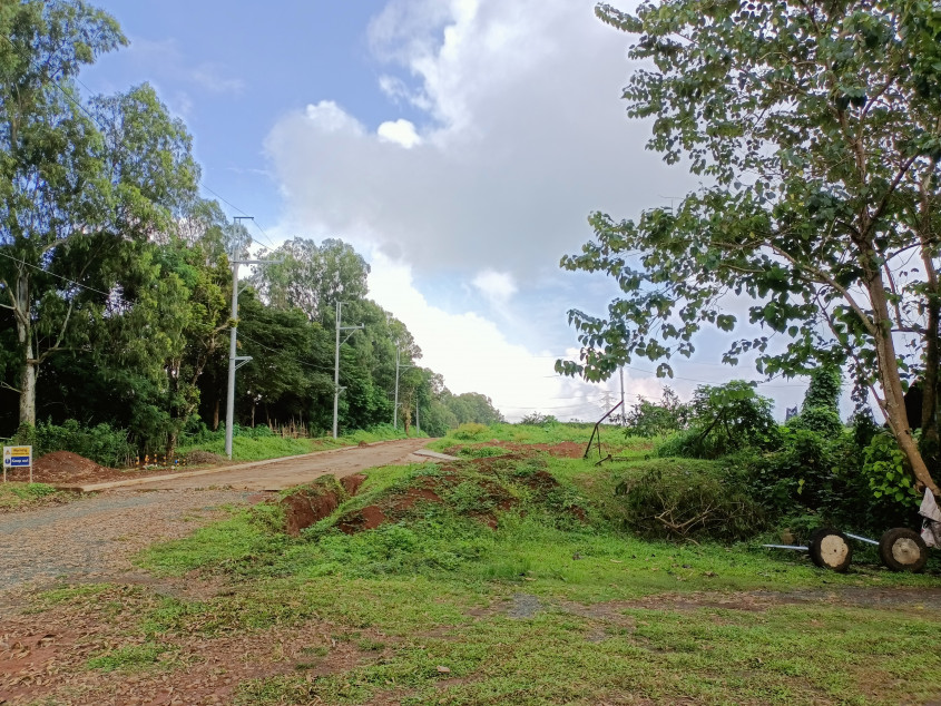 Lot For Sale At Sampaloc Road, Tanay