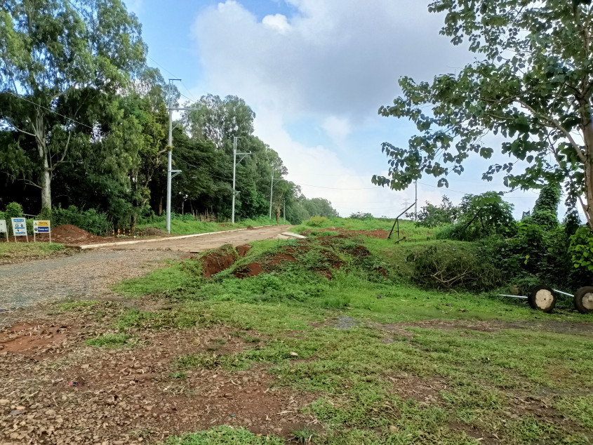 Lot For Sale At Sampaloc Road, Tanay