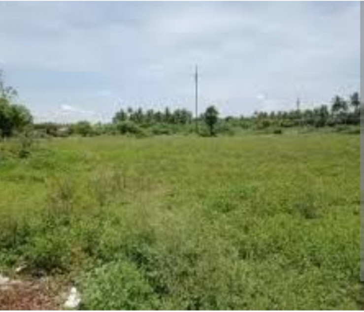 Agricultural Land At Pasong Intsik San Rafael, Bulacan
