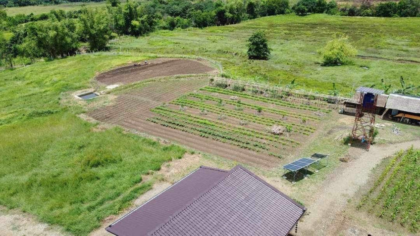 Farm Lot in Palawan