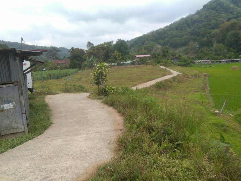 Agricultural & Residential Serene Place In Sablan Benguet
