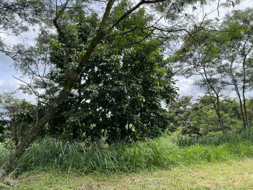 291 SQM Lot in Sun Valley Estate, Antipolo, Rizal