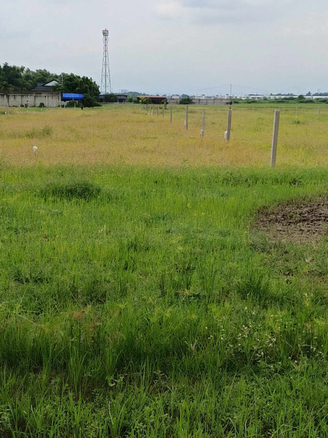 Subdivided Lot For Sale In Mabalacat, Pampanga