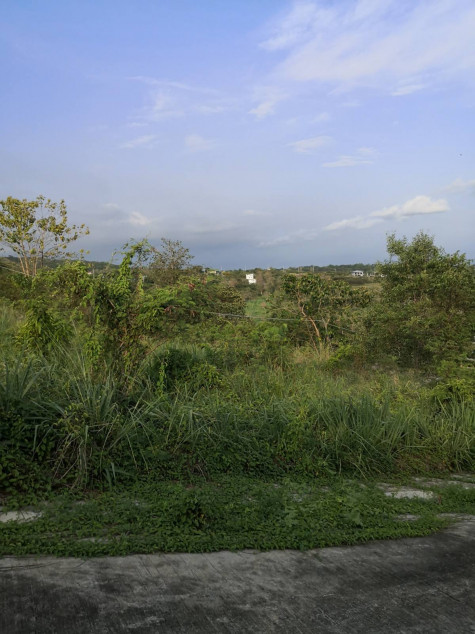 273 SQM Lot In Eastridge Golf, Angono, Rizal