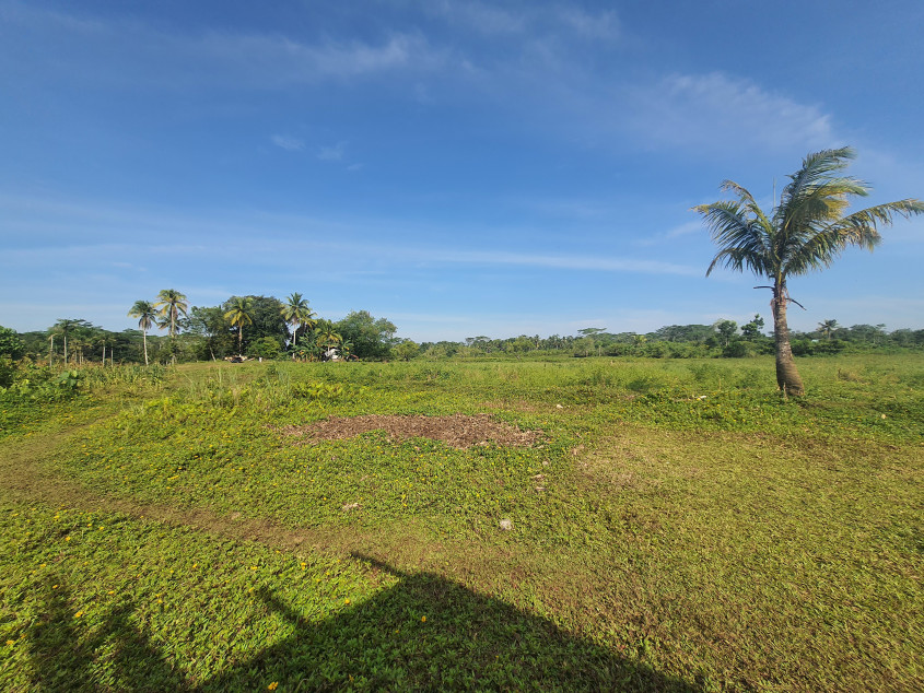 7.5 Hectares Land In Poblacion, Tagbina, Surigao Del Sur — For ...