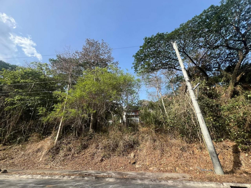 860 SQM Residential Farm Lot For Sale In Angono, Rizal