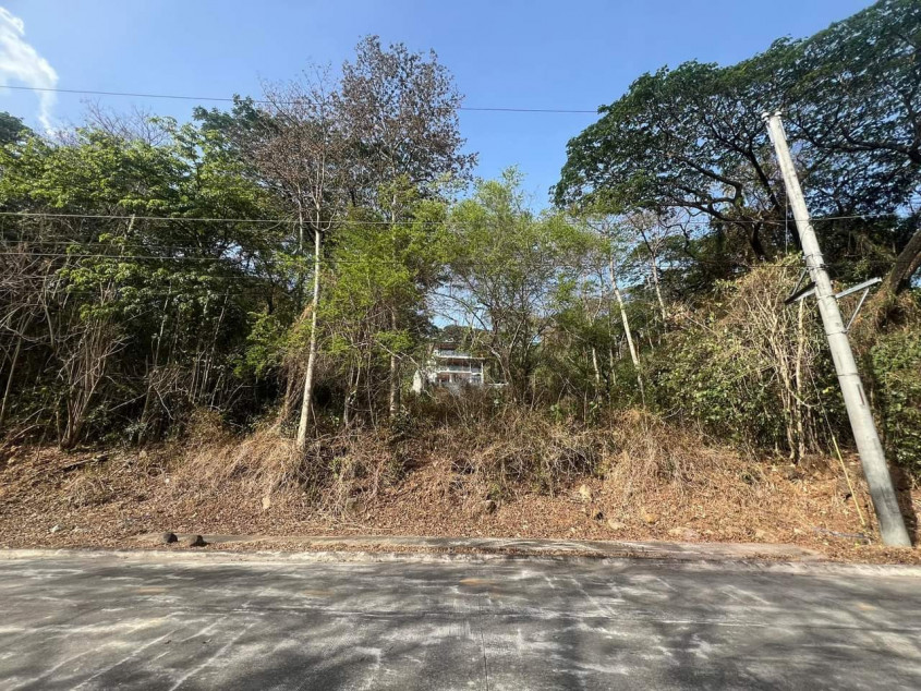 860 SQM Residential Farm Lot For Sale In Angono, Rizal