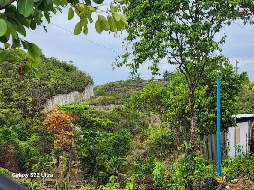 For Sale Developed Titled Farm Lot in Ronda, Cebu