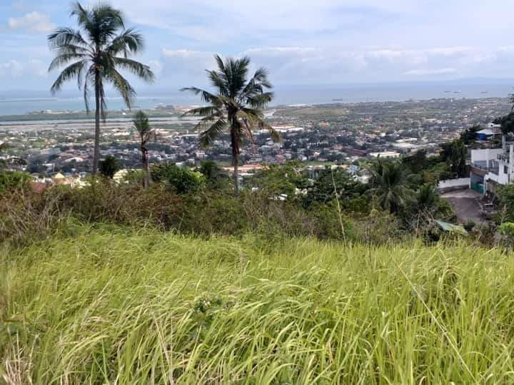 For Sale 2 Hectare Lot in Quiot Pardo, Cebu City