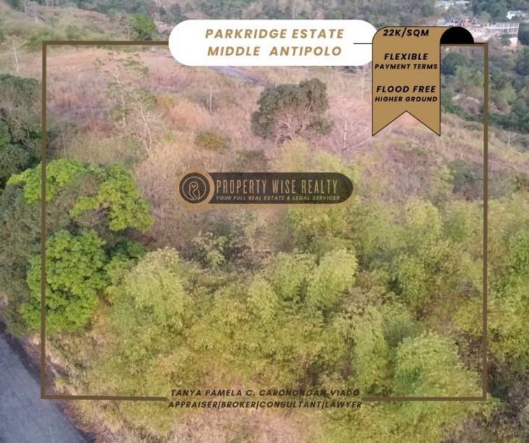 For Sale Overlooking City View In Parkridge Estate Antipolo City