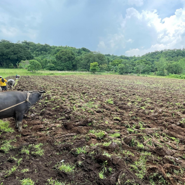 3.4 Hectares Farm land in Nasugbu Batangas For Sale