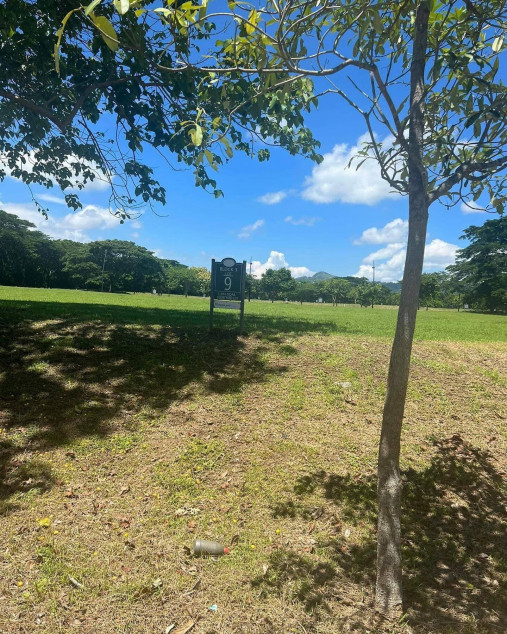 Prime Luscara Nuvali Lot