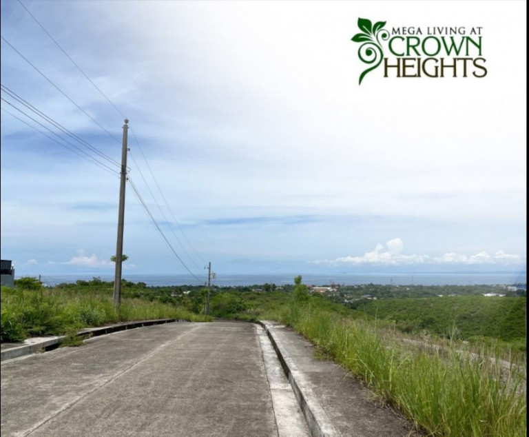 Code 523c Lot For Sale Greenwoods Cogon Compostela