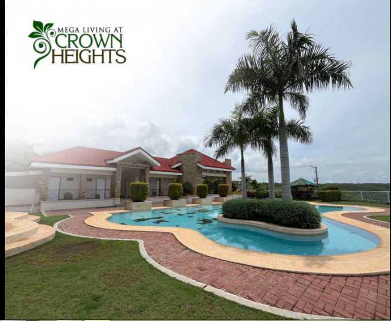 Code 523c Lot For Sale Greenwoods Cogon Compostela
