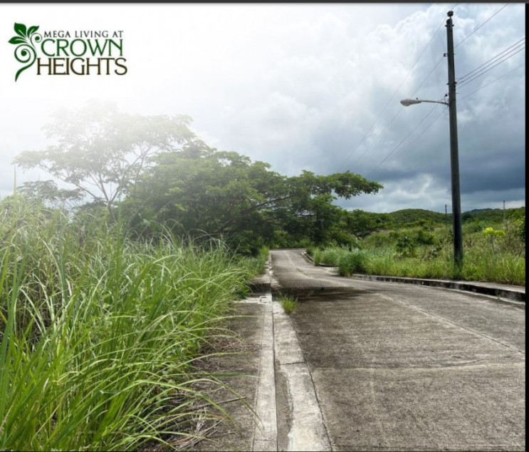 Code 523c Lot For Sale Greenwoods Cogon Compostela